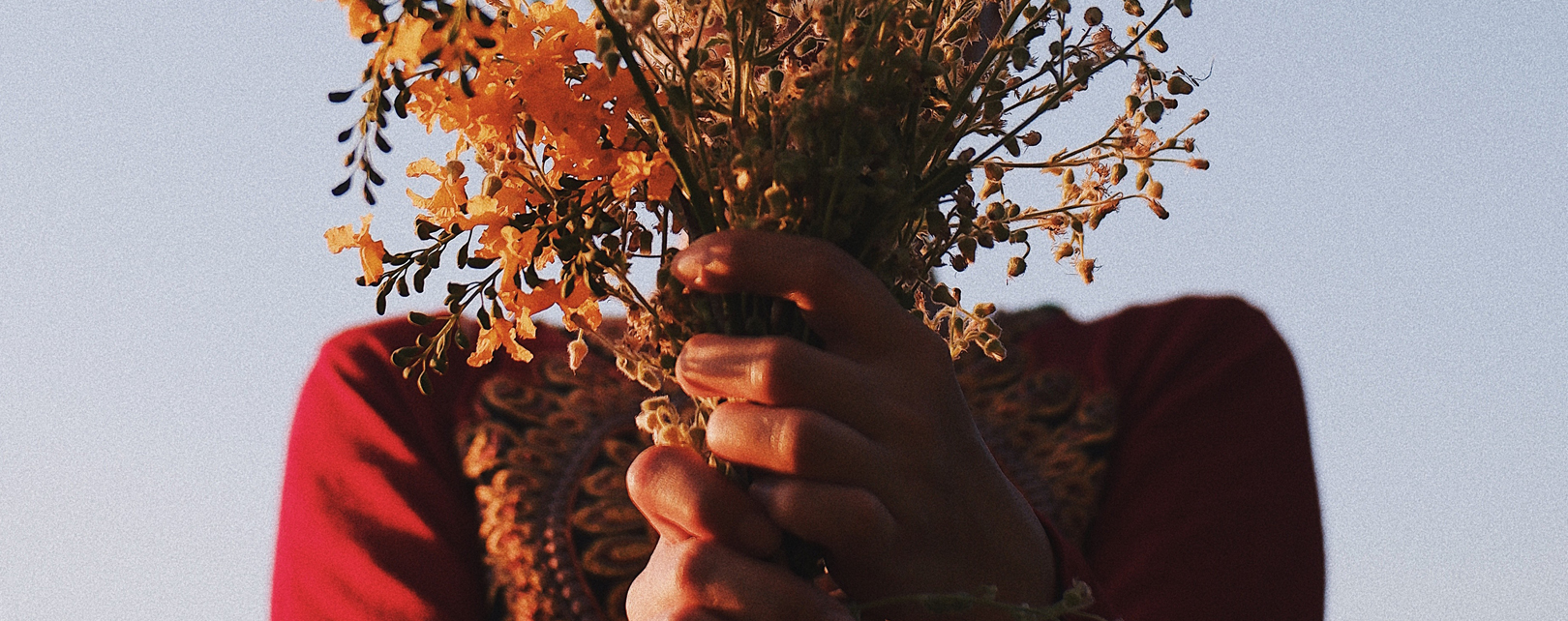 Productos encontrados | NGS